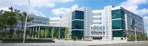 工作动态 数学与大数据学院