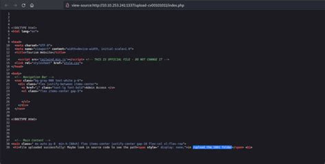 TryHackMe Expose Writeup