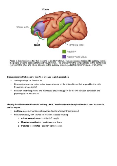 Perception And Cognitive Psychology Guide Psy3051 Perception