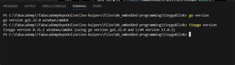 Embedded Programming How Leo Makes Almost Anything
