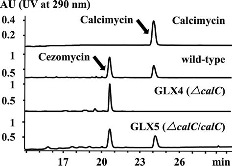 Phenotypic Analysis Of Calc Gene Involved In The Cezomycin Modification Download Scientific