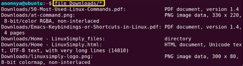 The File Command In Linux Practical Examples LinuxSimply