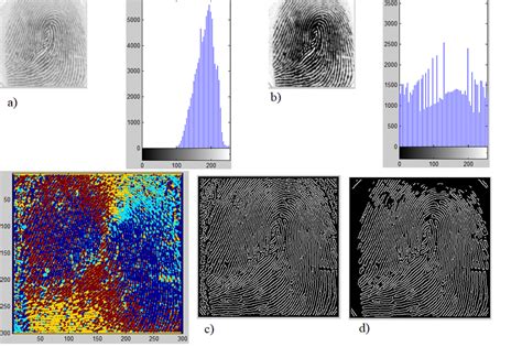 the result of image pre processing of a fingerprint a b show the download scientific diagram