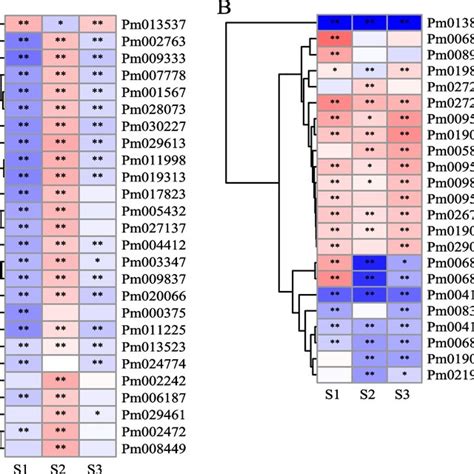 candidate degs expression patterns related to microtubule movement a