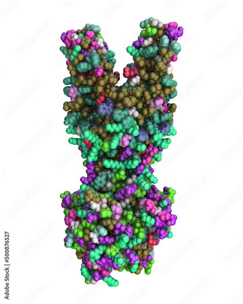 Multidrug Transporter Molecule 3d Illustration Stock Illustration Adobe Stock