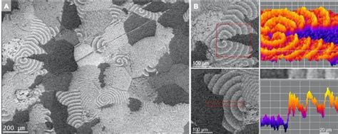 Observing While It Happens In Situ Electron Microscopy Of Dynamic Processes Scientific Staff