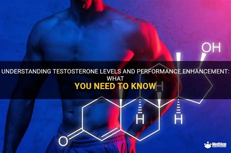 Understanding Testosterone Levels And Performance Enhancement What You