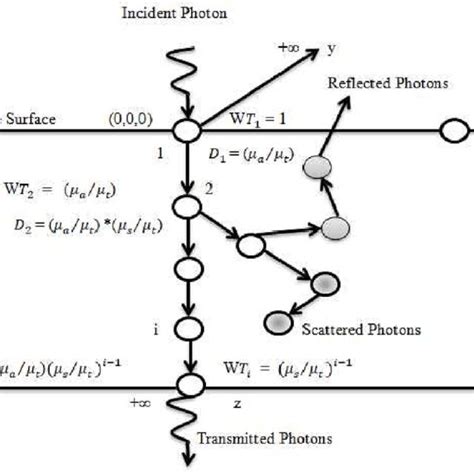 Illustration Of Light Photon Propagation In Tissues Modeled Using Monte