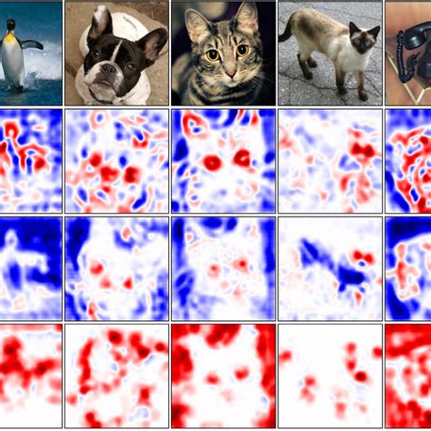 visualization of three different feature maps taken from the
