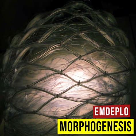 Mesh Split Plane Rhinograsshopper