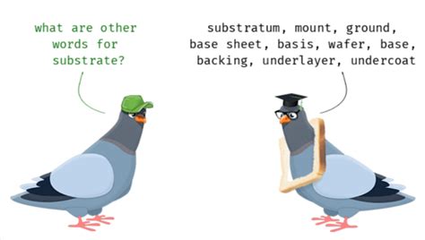 Substrate Definition Biochemsitry And Examples