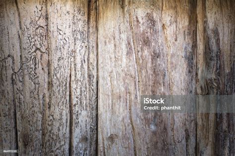 나무 인테리어 디자인 사업에 대 한 텍스처 또는 나무 배경 외부 장식 및 산업 건설 아이디어 컨셉 디자인입니다 0명에 대한 스톡 사진 및 기타 이미지 Istock