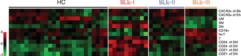 Unsupervised Clustering Analysis Of B Cell Profiles Segregates Lupus