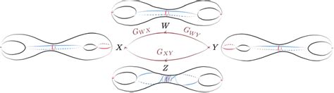 A Depiction Of The Closed Genus 2 Hyperbolic Surfaces W X Y Z On The Download Scientific