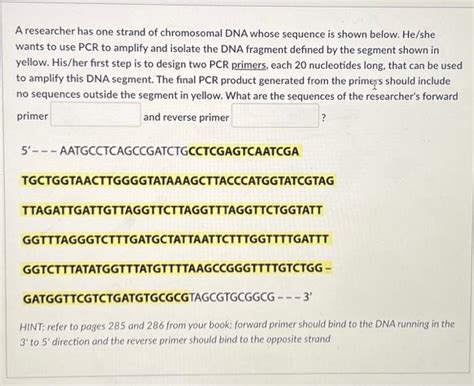 Solved A researcher has one strand of chromosomal DNA whose | Chegg.com