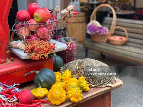 가을 과일과 야채 수확 아름다운 시골 정물 붉은 사과 노란 스쿼시 해바라기와 양귀비 씨앗 칠리 페퍼 도그 우드와 장미 엉덩이 밝은 가을 색상 0명에 대한 스톡 사진 및 기타