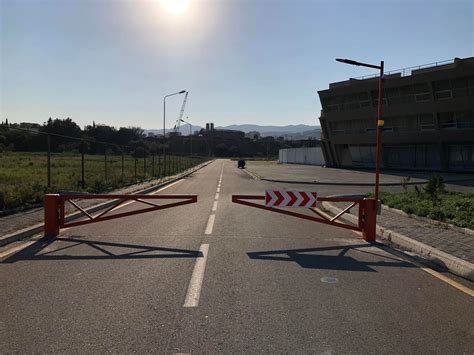 ნამუშევრები ალგი