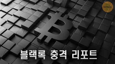 비트코인의 최적 자산 배분은 미국 할배들의 포모 래리핑크의 비트코인 영업은 계속된다 Youtube
