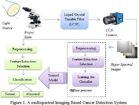 Figure 1 From Multispectral Imaging And Machine Learning For Automated Cancer Diagnosis