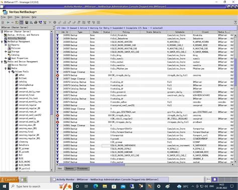 Error Nbjm Pid2610 Nbu Status 800 Emm Status All Compatible Drive Paths Are Down But