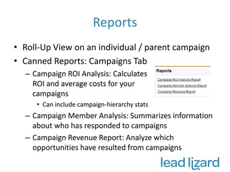 Best Practices For Salesforce Campaigns Pptx