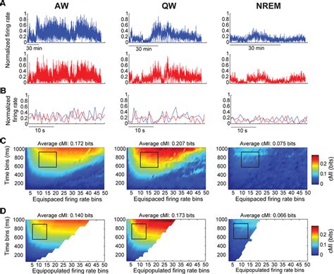 Cmi Values Reflect Coordinated Firing Rate Fluctuations Between Download Scientific Diagram