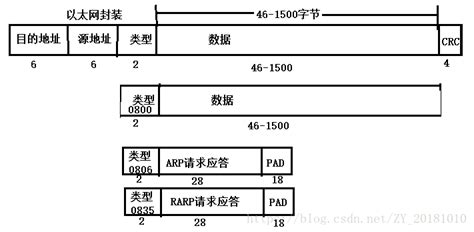 数据链路层（arp协议，dns协议和icmp协议） rndis arp协议 csdn博客