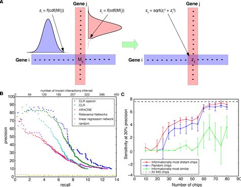 Gene Regulatory Networks Genome Scale Modelling