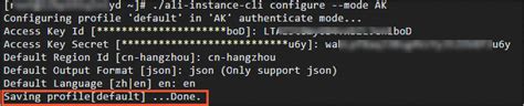Perform Port Forwarding By Using Ali Instance Cli Elastic Compute