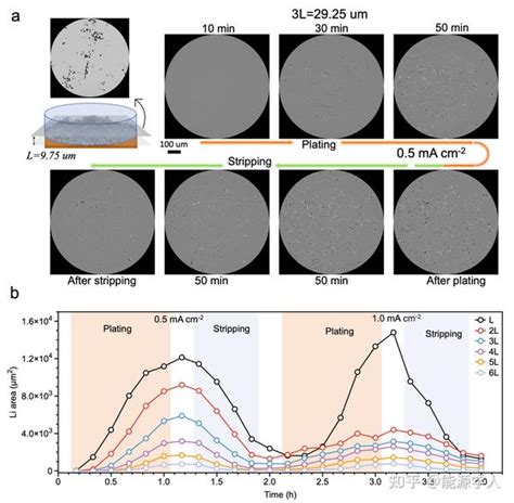锂枝晶“3d电影” 金属锂在沉积 脱出过程中的形貌演化 知乎