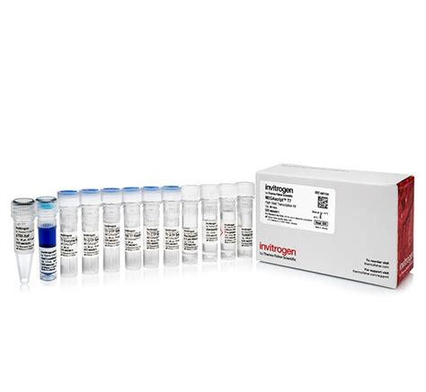 Kit De Transcription Megascript™ T7 Kit De Transcription In Vitro T7
