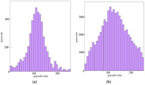 Image Processing Based Subway Tunnel Crack Detection System