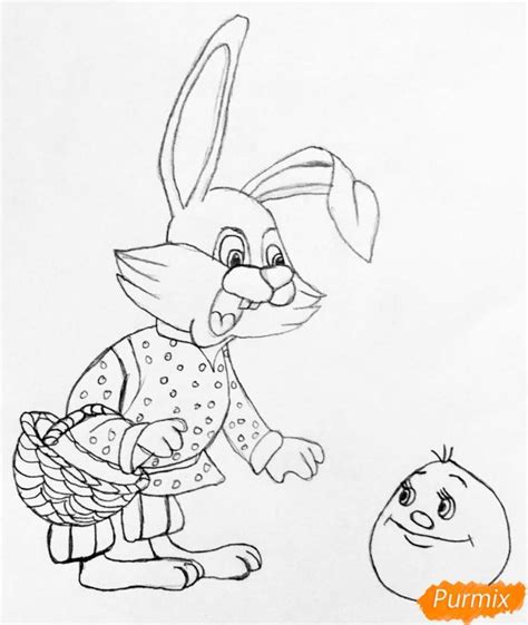 Як намалювати зайця 100 фото прикольних шаблонів і зразків як намалювати зайця олівцем поетапно