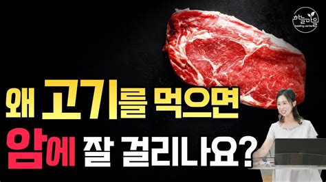 왜 고기를 먹으면 암에 잘 걸리나요 고기 암 육식 Youtube