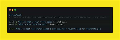 Reading User Input In Bash Warp