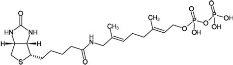 B GPP Protein Prenylation Lipid Donors Jena Bioscience