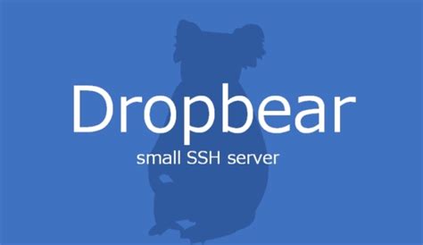 轻量级ssh实现之dropbeardropbearkey Csdn博客