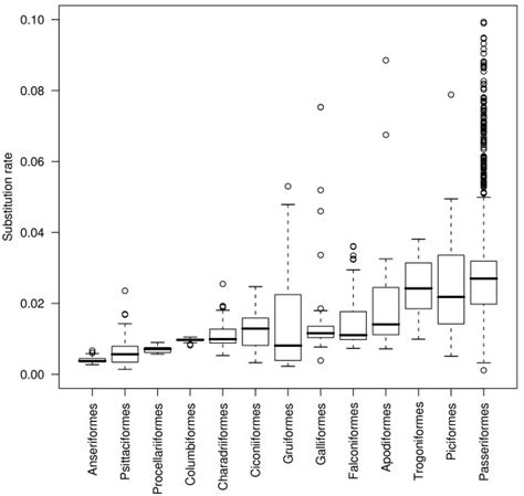 Within Order Distribution Of The Cytochrome B Third Codon Position