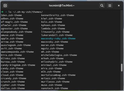 how to install and setup zsh z shell in fedora