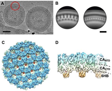 Representative Particle Example