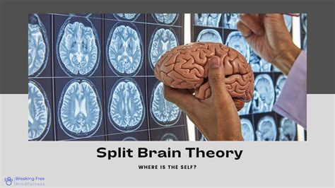 Split Brain