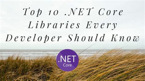 Sajith D On Linkedin Top 10 Net Core Libraries Every Developer