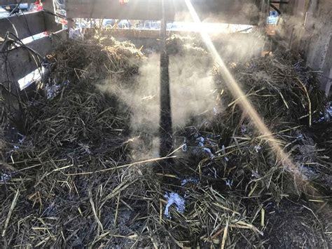 What To Do If Your Compost Pile Is Too Hot