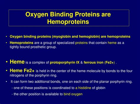 Ppt Oxygen Binding Proteins Powerpoint Presentation Free Download Id 3560631