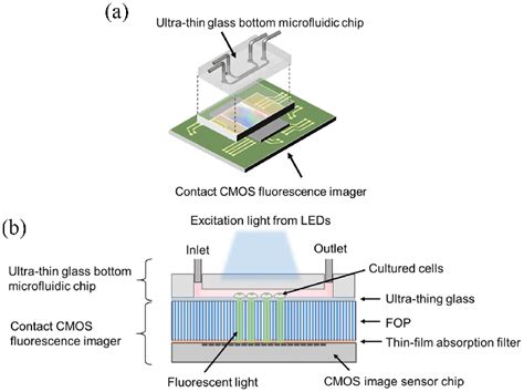 Schematic Diagrams Of An On Chip Fluorescence Imaging Platform A An Download Scientific