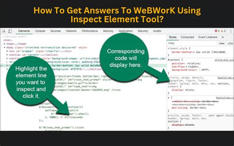 WeBWorK Answers Guaranteed Get The Help You Need To Excel