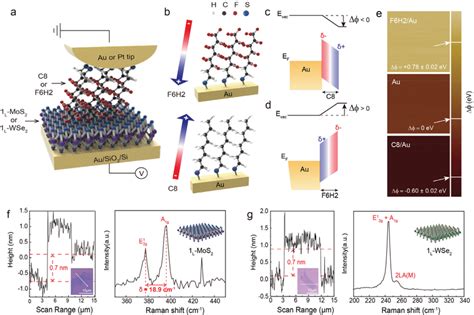 Molecular Heterojunctions With Opposite Orientations Of The Molecular