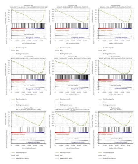 Gsea Analysis For Pyroptosis Related Lncrnas Based On Target