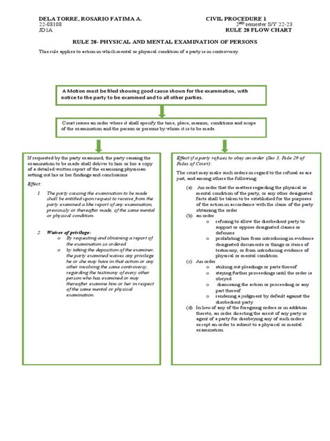 Rule 28 Flowchart Pdf Government Institutions Civil Law Common Law